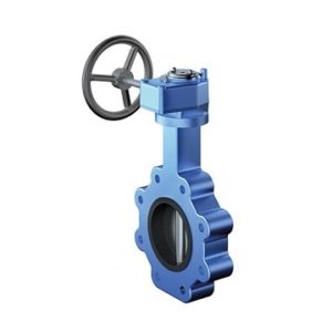 NexusValve Fluctus with flange connection and manual gear – Artech2k_prod